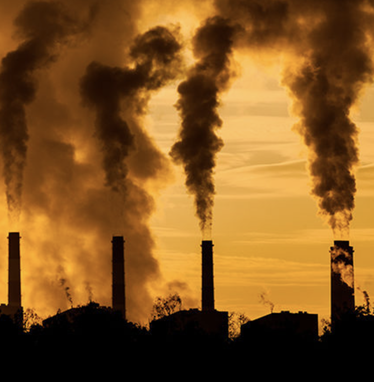 Francisco Mansilla Navarro